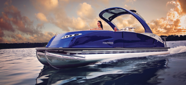 Fall In Love With Harris