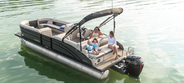 Fall In Love With Harris